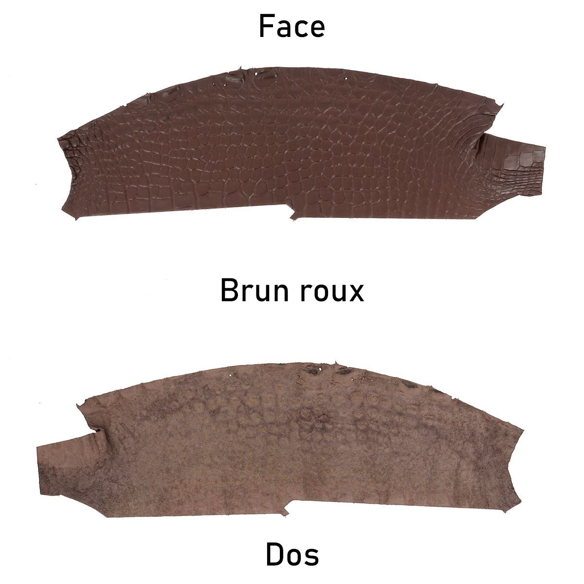 Flanc de cuir d'alligator mat - BRUN ROUX | Deco Cuir