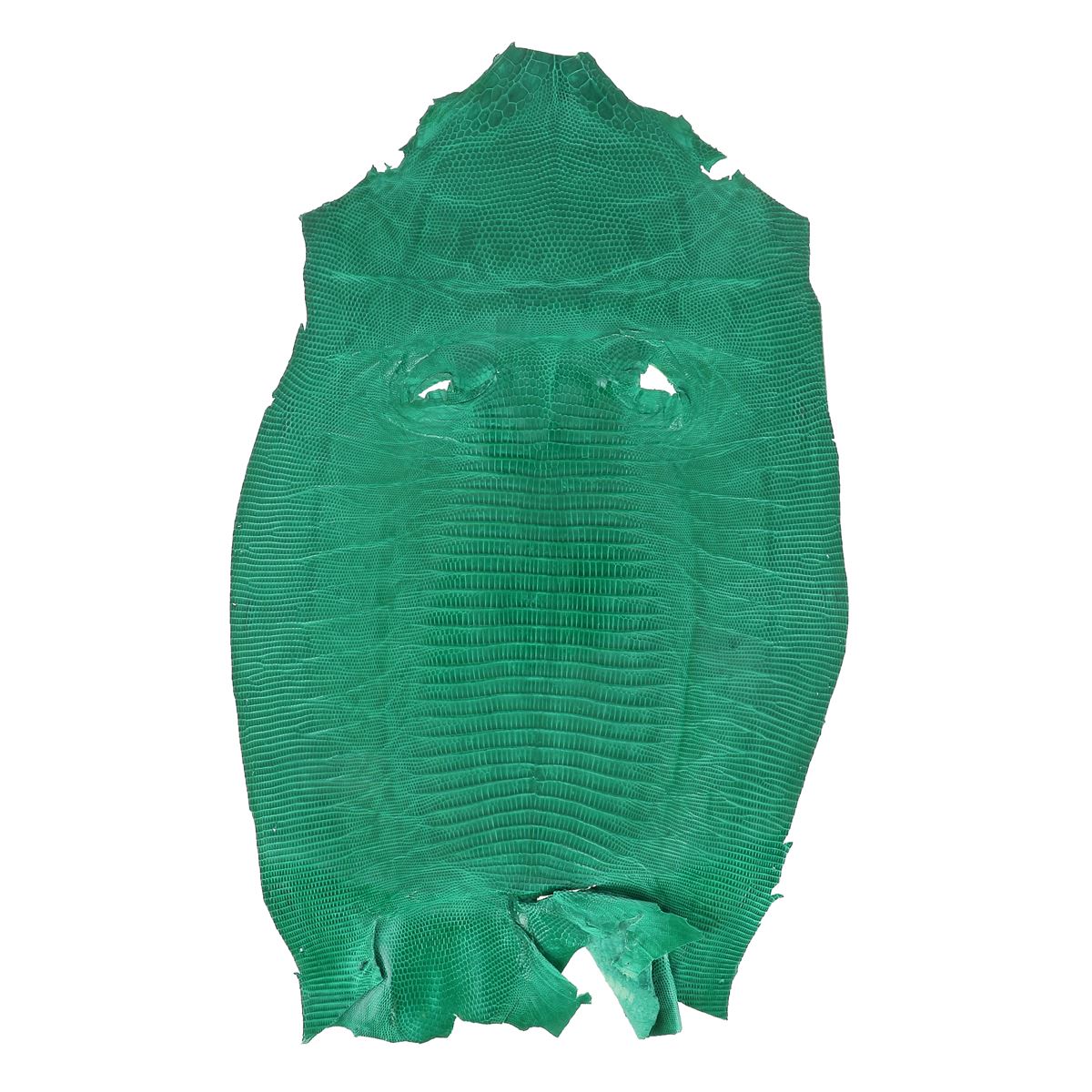 Teju Lizard Leather Skin - GREEN O84 | Leather Deco